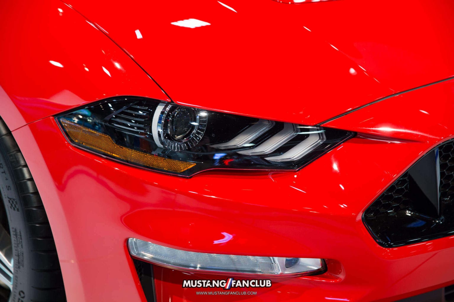 A closer look at the '18 Mustang! - Mustang Fan Club
