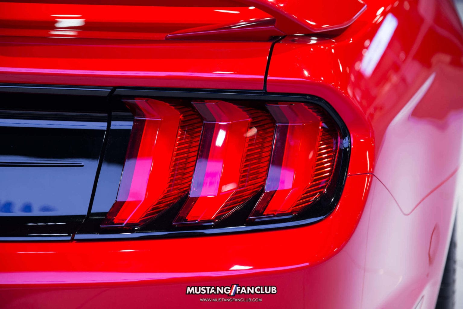 A closer look at the '18 Mustang! - Mustang Fan Club