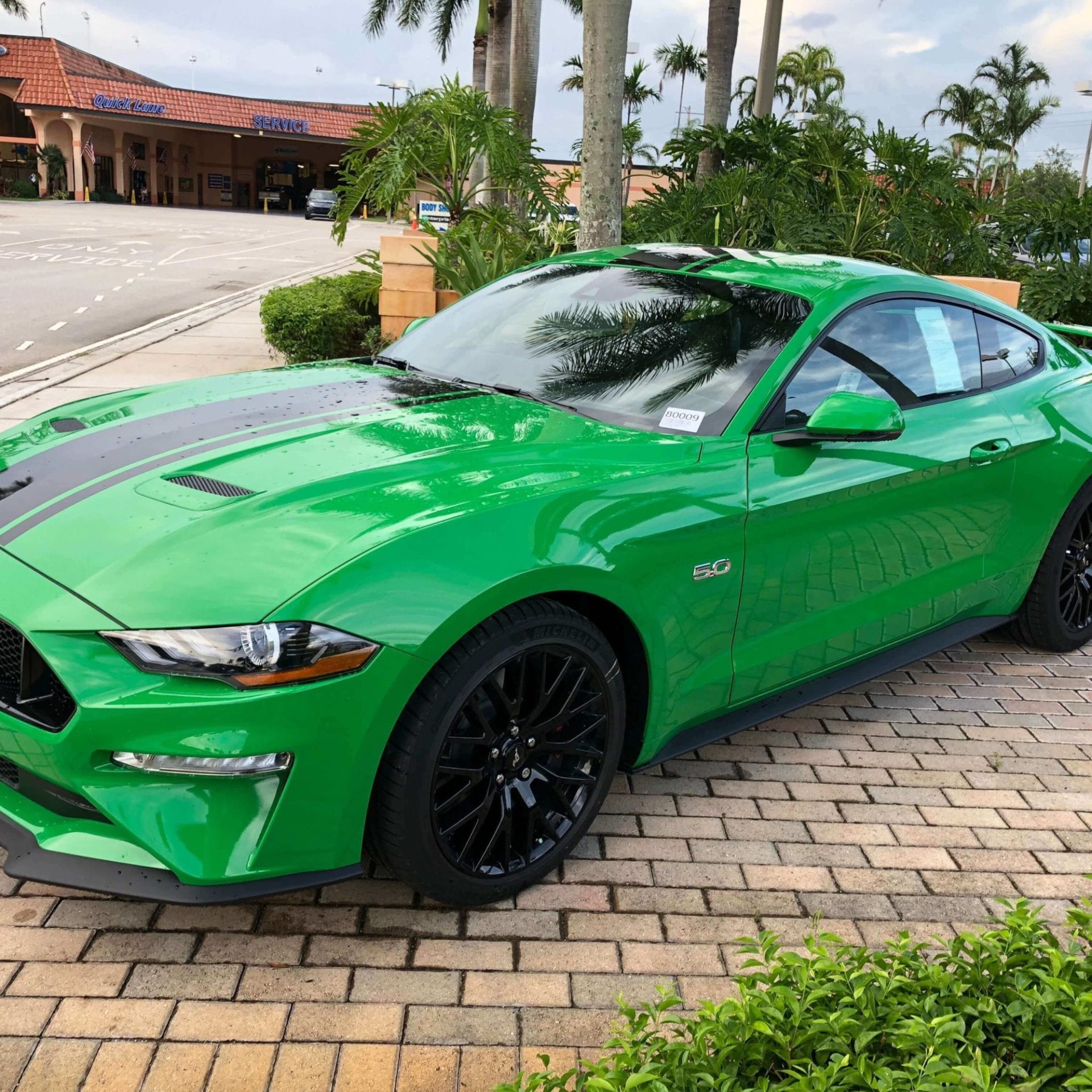 New Mustang color options for 2019! Need for Green and Velocity Blue