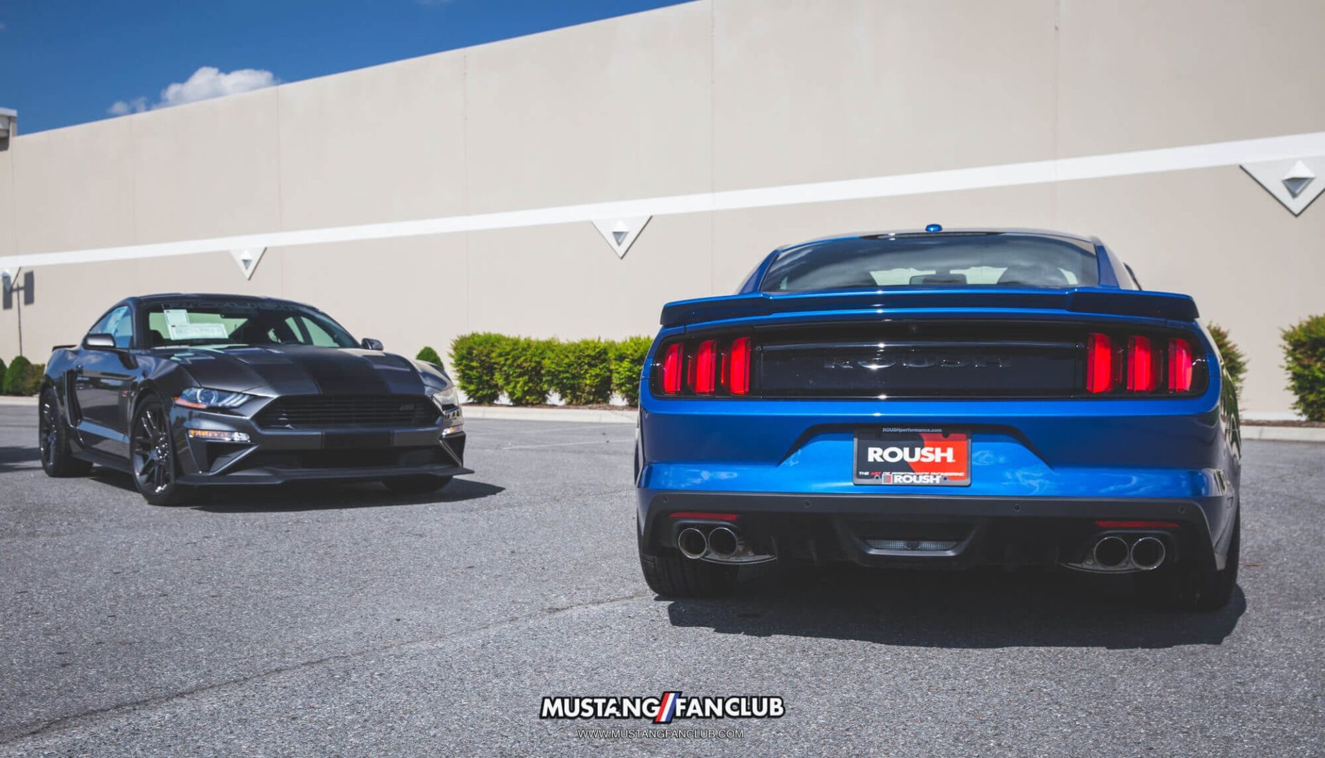 360 Virtual Test Drive with Tindol ROUSH - Mustang Fan Club