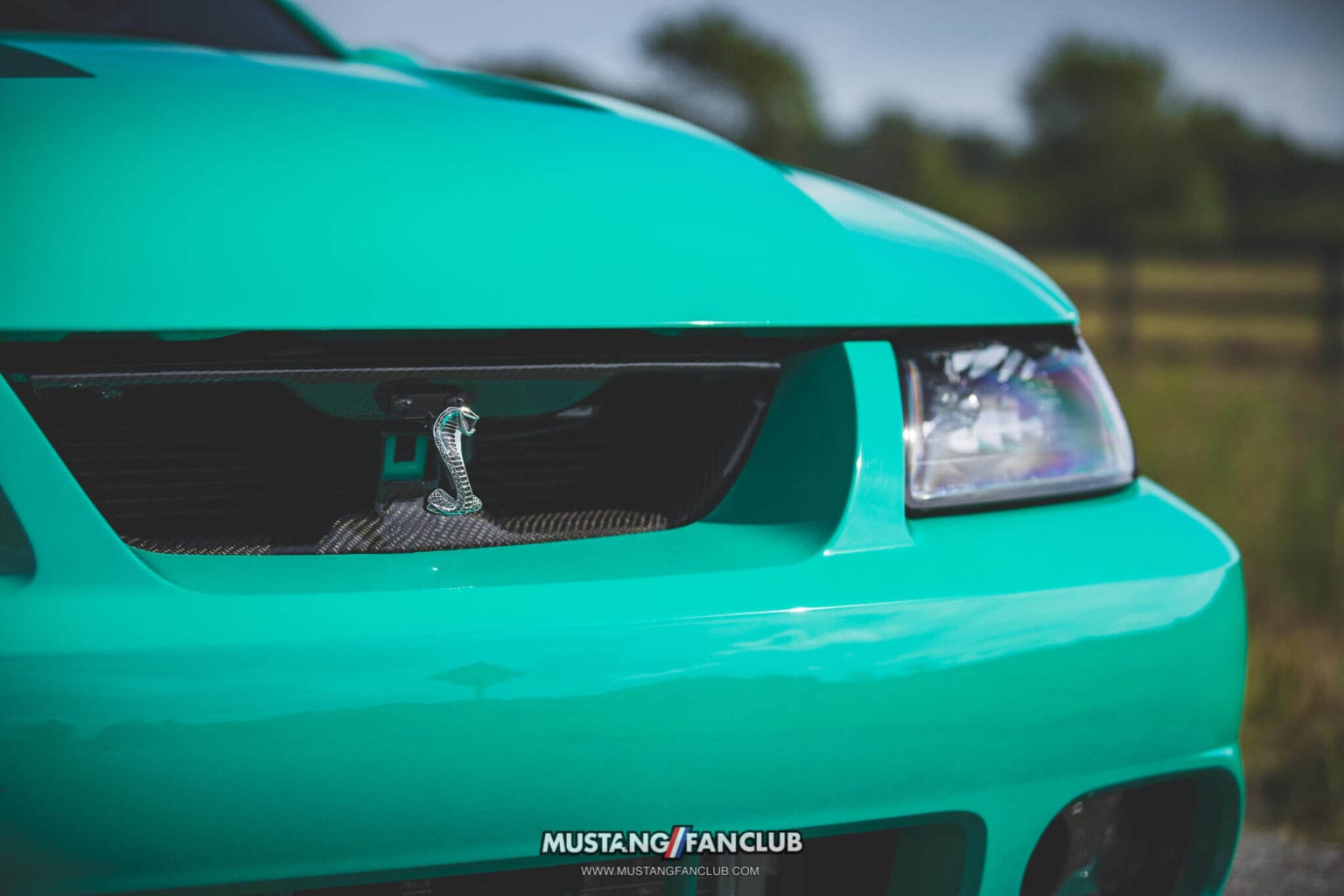 Mamba 2.0 | Bobby's Grabber Green Cobra - Mustang Fan Club