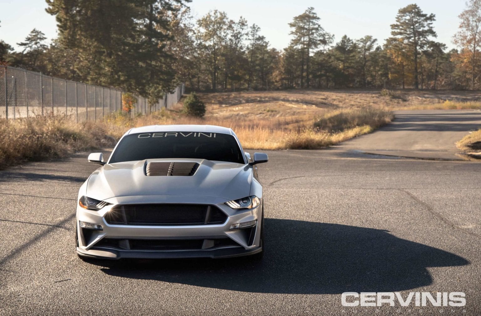 Cervinis Auto Designs unveils two new aftermarket Mustang hoods!