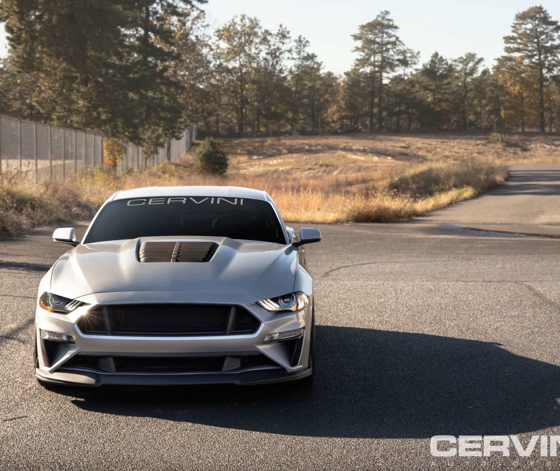 Cervinis Auto Designs unveils two new aftermarket Mustang hoods!