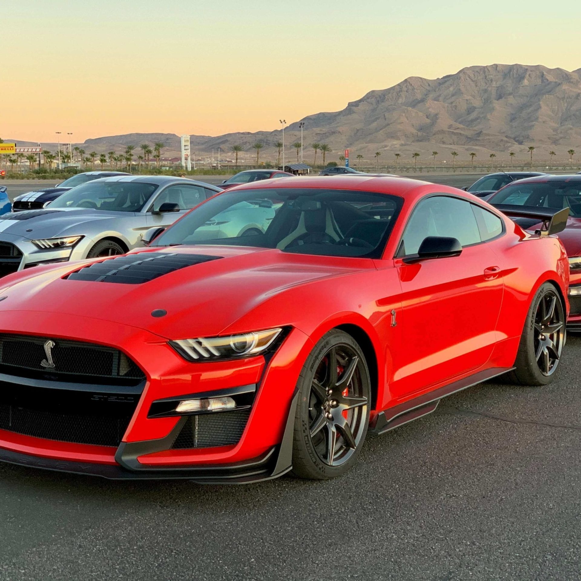 2020 Shelby GT500 Color Options - Mustang Fan Club