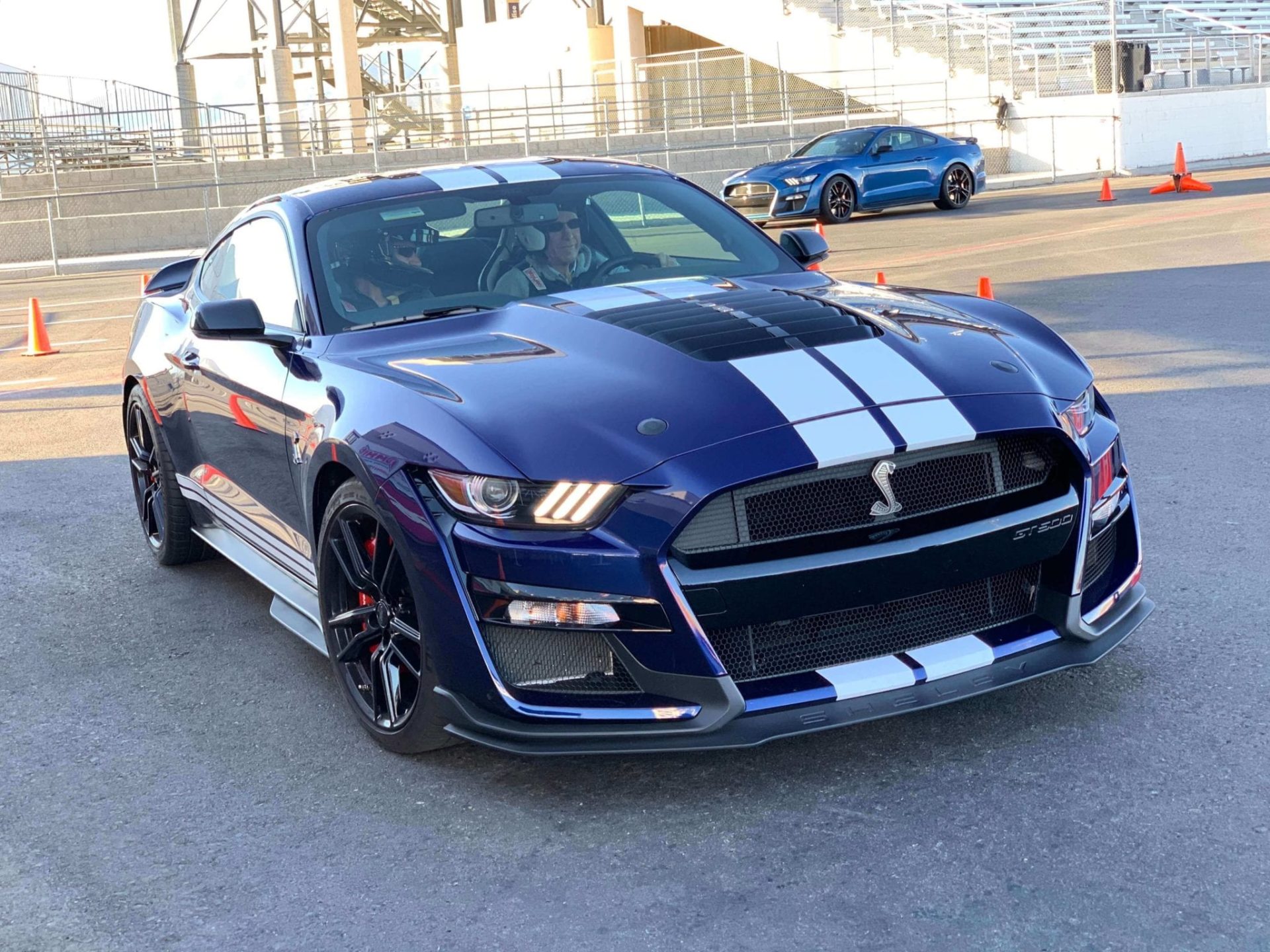 2020 Shelby GT500 Color Options - Mustang Fan Club