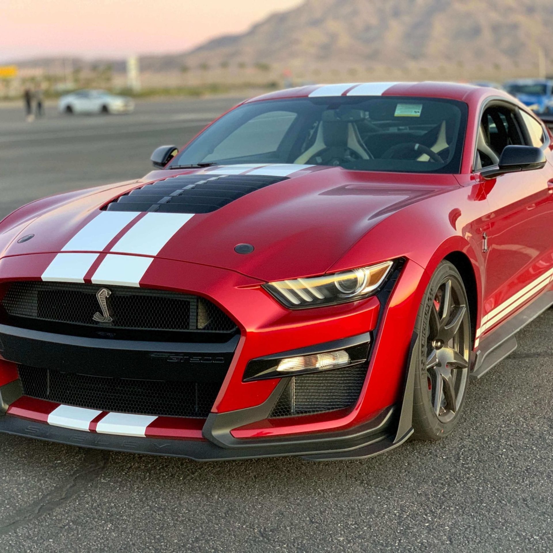 2020 Shelby GT500 Color Options - Mustang Fan Club