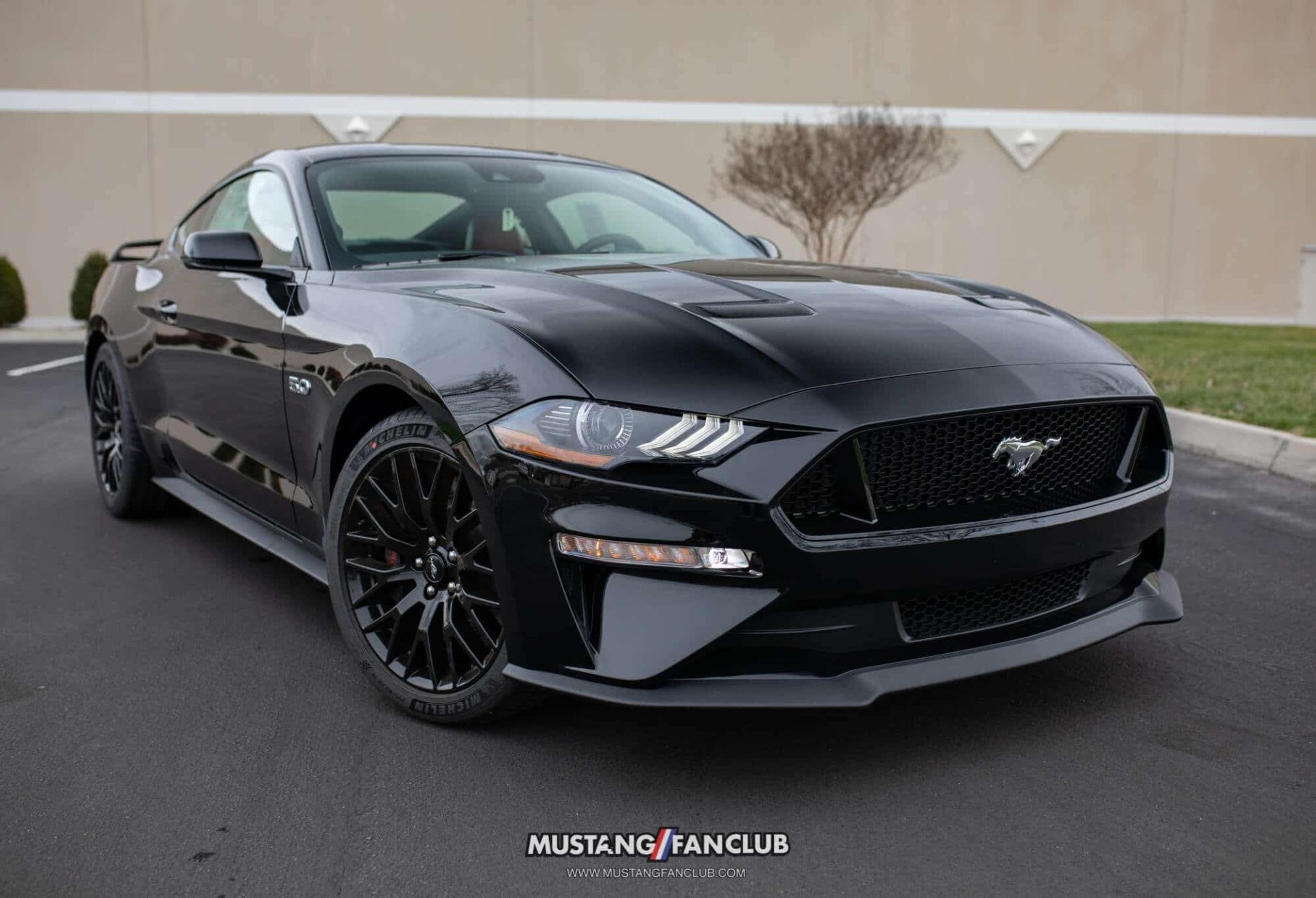 2018 Mustang Color Options w/ images and paint code - Mustang Fan Club