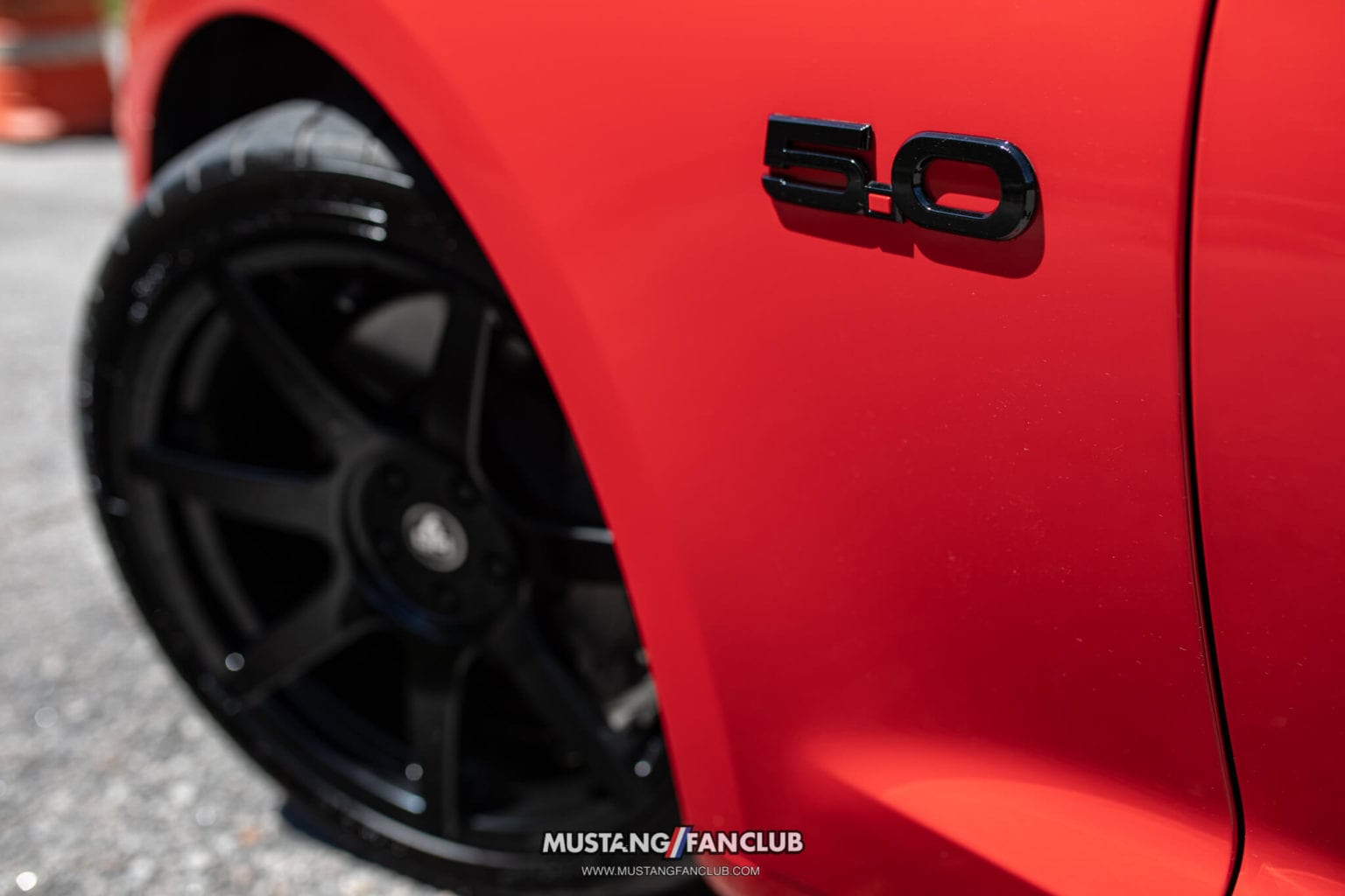UPR Color Matched and Blackout Emblems for your S550 Mustang