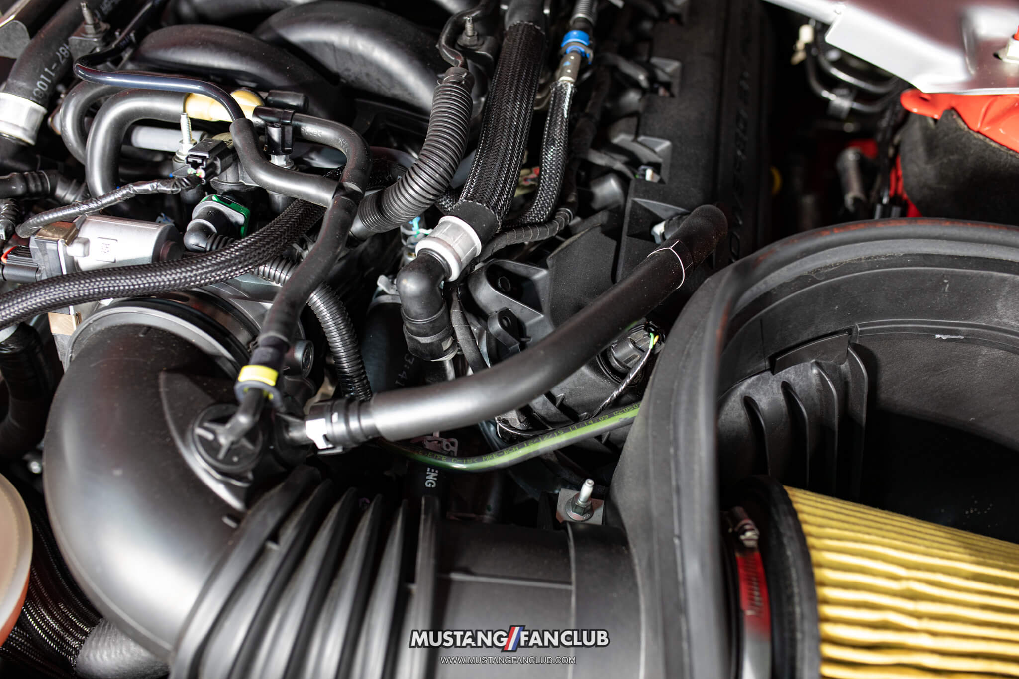 IMG_1880 - Mustang Fan Club